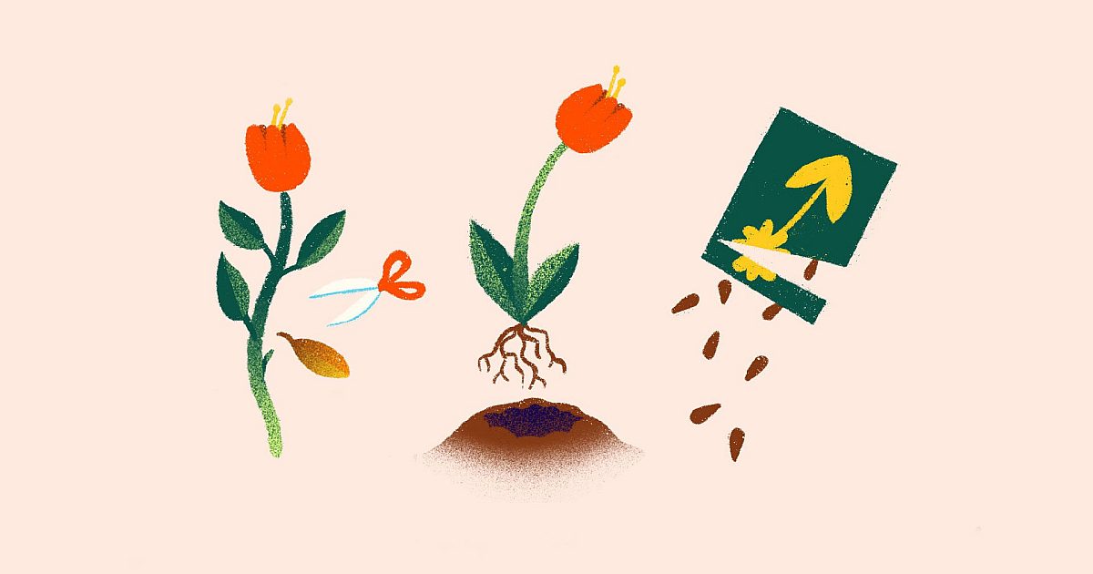 Three Ways to Evolve Your Logo